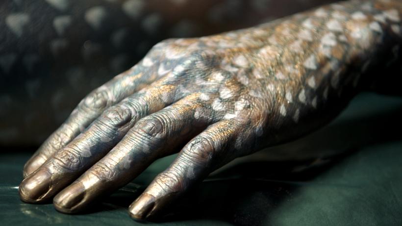 Visionado performativo y conversación con el artista Carlos Motta y la ...