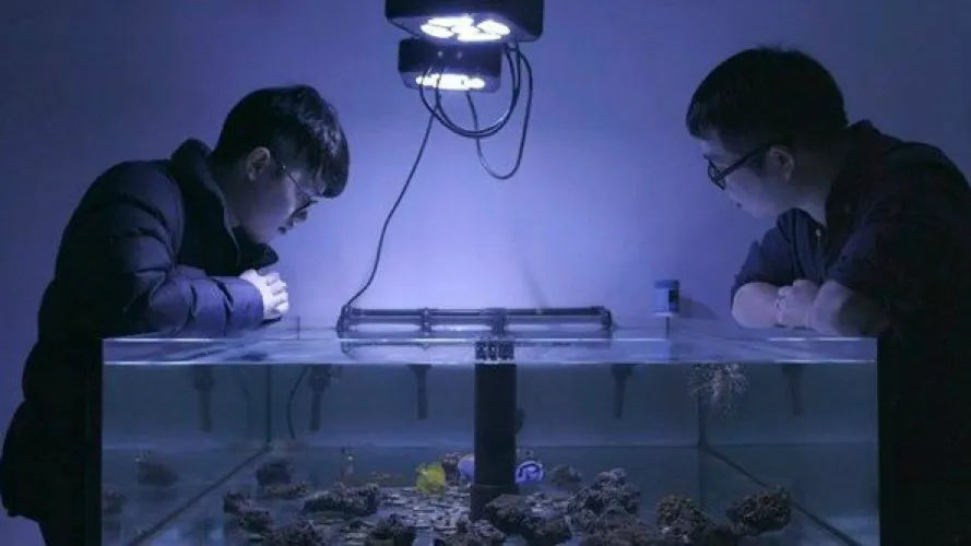 YU GANG | Matadero Madrid