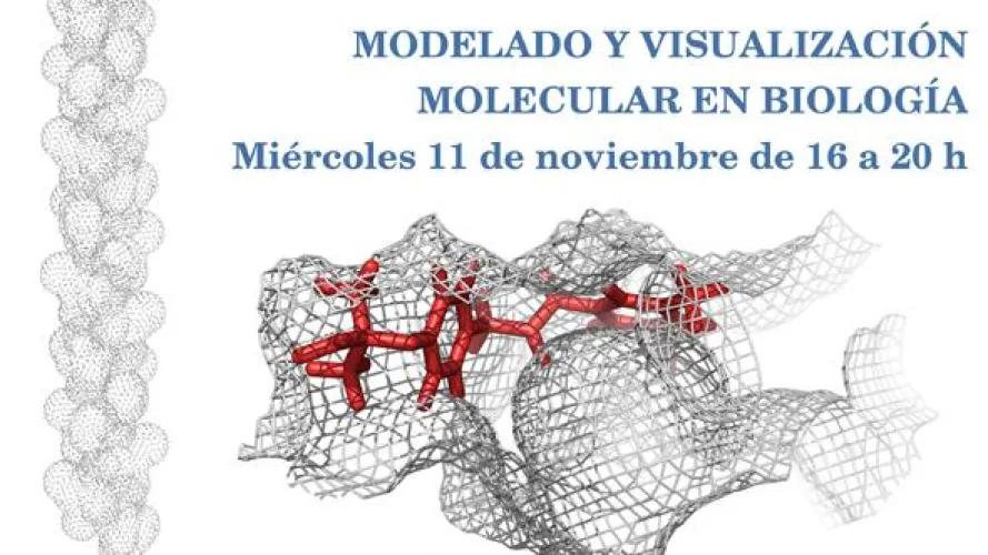 MODELADO Y VISUALIZACIÓN MOLECULAR EN BIOLOGÍA | Matadero Madrid